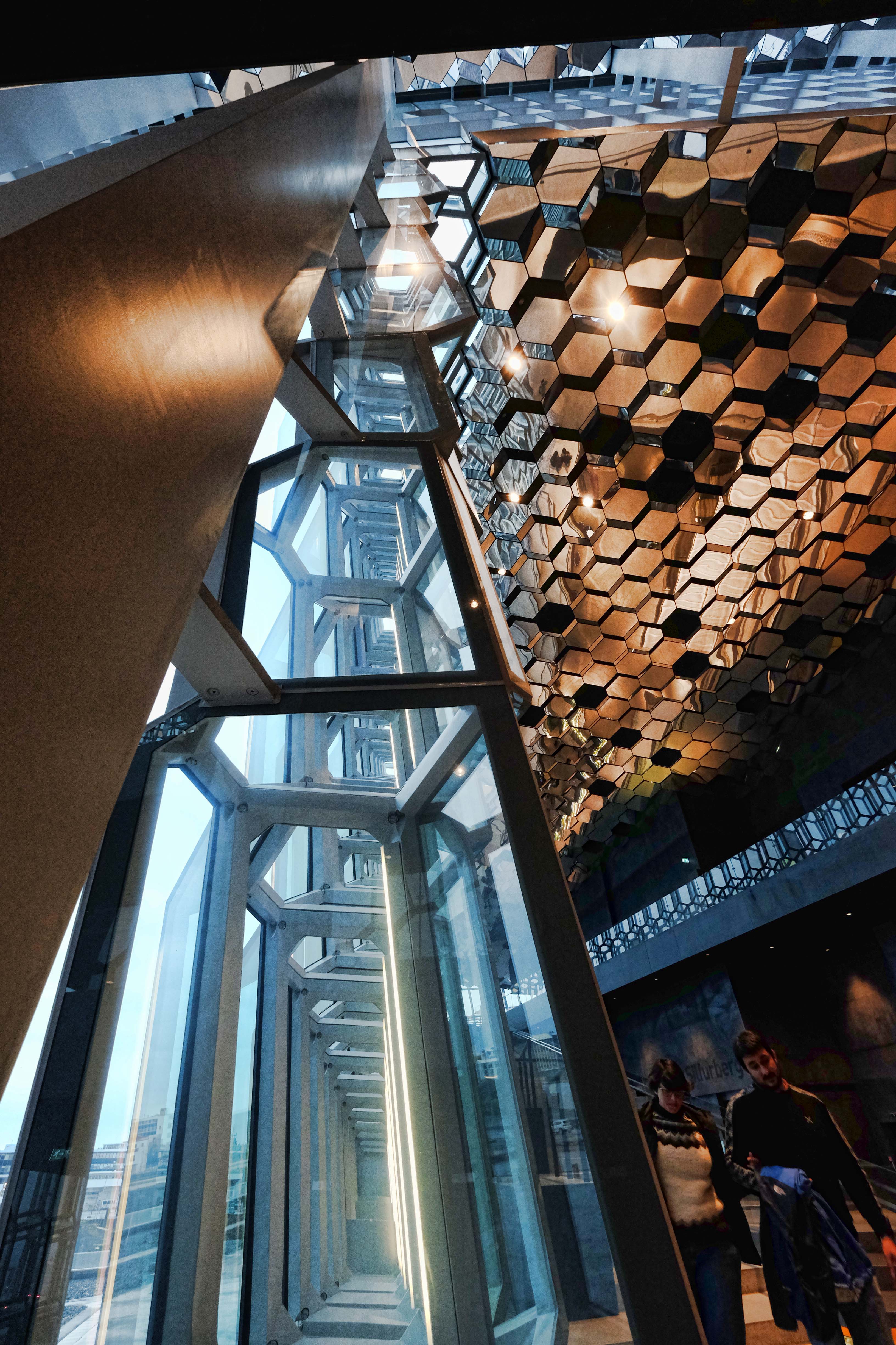 Harpa – susan dragoo