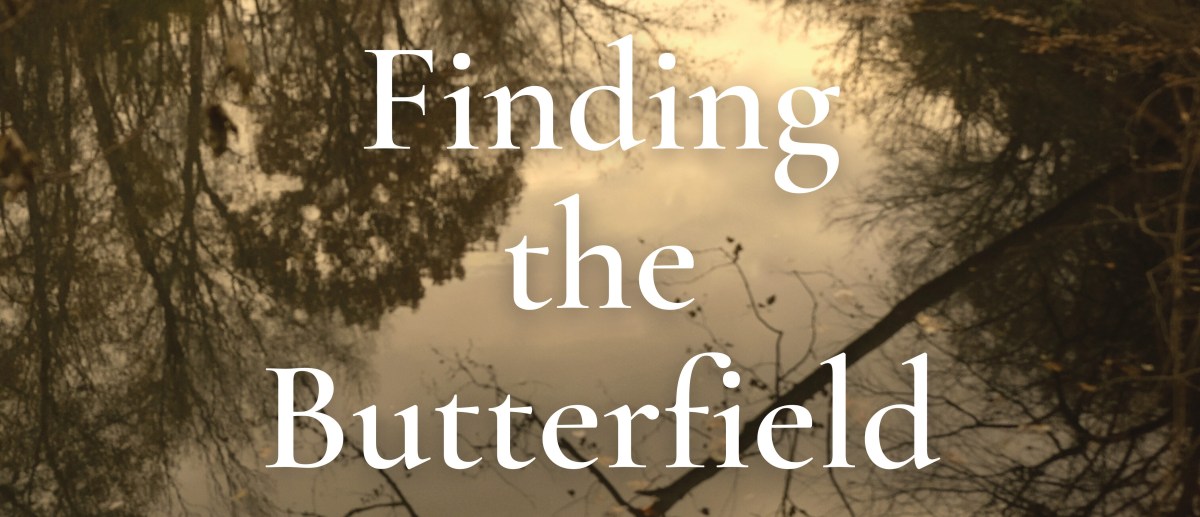Finding the Butterfield – Now Available! – susan dragoo