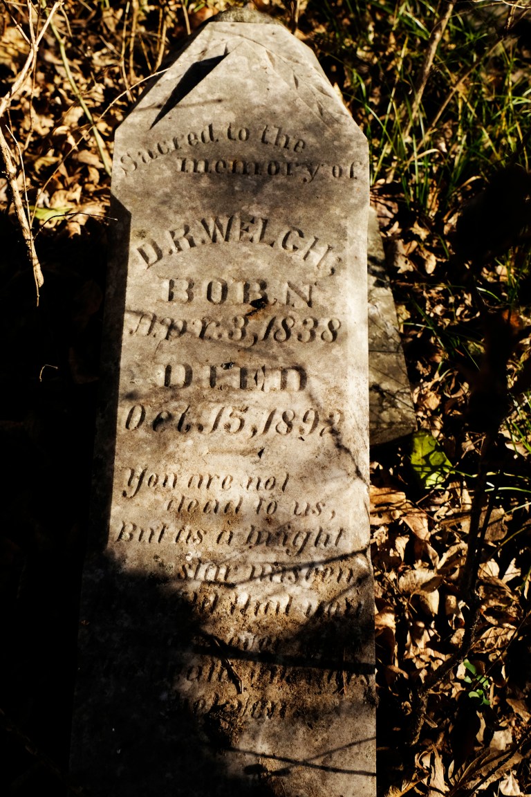 Finding the Butterfield: Brazil Station – susan dragoo