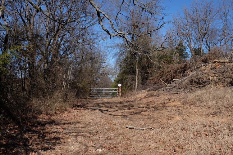 Finding the Butterfield: Brazil Station – susan dragoo